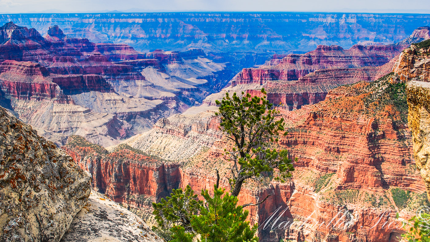 Grand Canyon Pussy